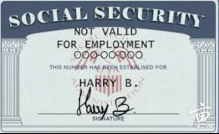 F2刚刚拿到offer 想请问下SSN办理|一亩三分地生活版